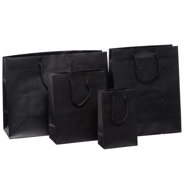 Matte Laminated Paper Bags – Mannequin City